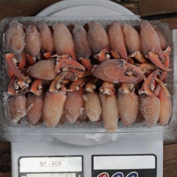 Jual Capit Kepiting Asli Kupas / Crab Claw Cingkong | Shopee Indonesia