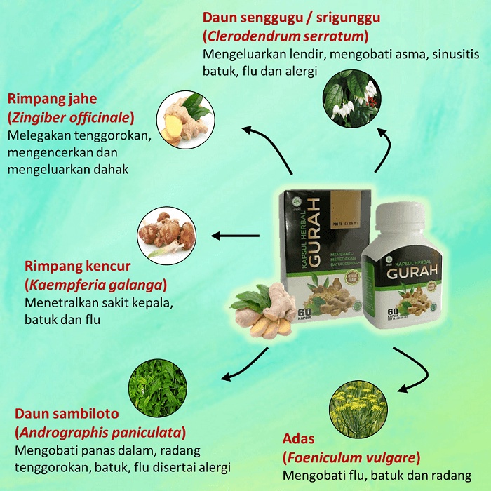 Jual Kapsul Herbal Gurah Meredakan Pernapasan Obat Batuk menghilangkan ...