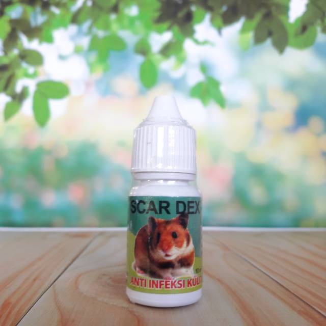 Jual Scar Dex Scardex 10mL Obat Anti Infeksi Kulit Hamster | Shopee ...