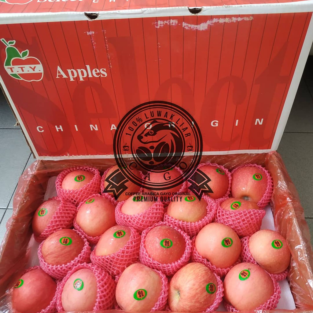 Jual Apel Fuji T.T.Y 1 Dus (17 KG) Fresh Import | Shopee Indonesia