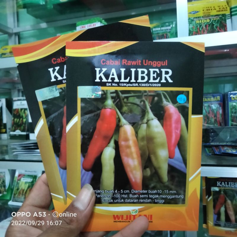 Jual KALIBER cabai rawit unggul original pabrik | Shopee Indonesia