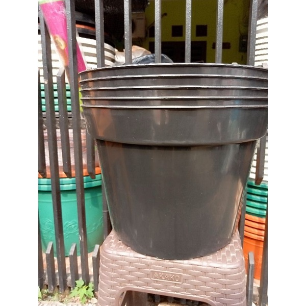 Jual Pot Jumbo Polos 50/Pot Bibit Jumbo Ukuran 50 | Shopee Indonesia