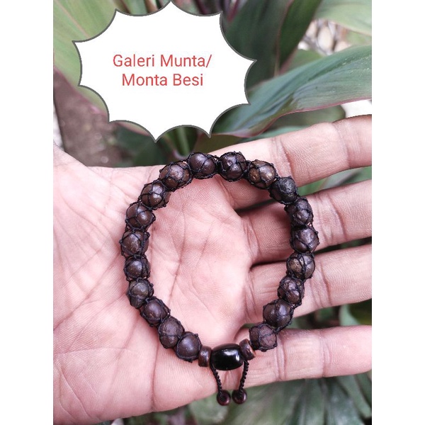 Jual Munta/Monta besi daging full aktif | Shopee Indonesia