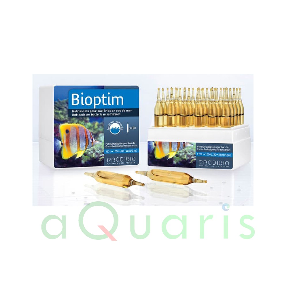 Jual Bioptim bakteri starter 1 ampul | Shopee Indonesia