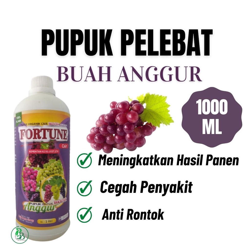 Jual Pupuk Cair Organik Anggur Biar Subur Booster Buah Untuk Daun