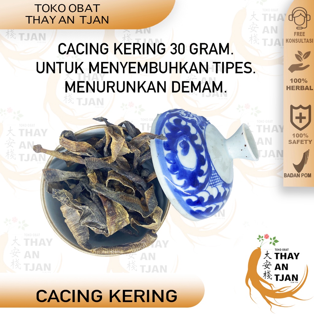 Jual CACING KERING | OBAT TIPES | OBAT TIFUS | OBAT DEMAM TINGGI ...