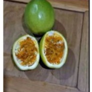 Jual Buah markisa atau konyal segar per 1 kg | Shopee Indonesia