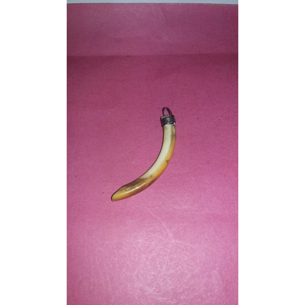 Jual Liontin Taring Landak Khas Etnik KALIMANTAN | Shopee Indonesia