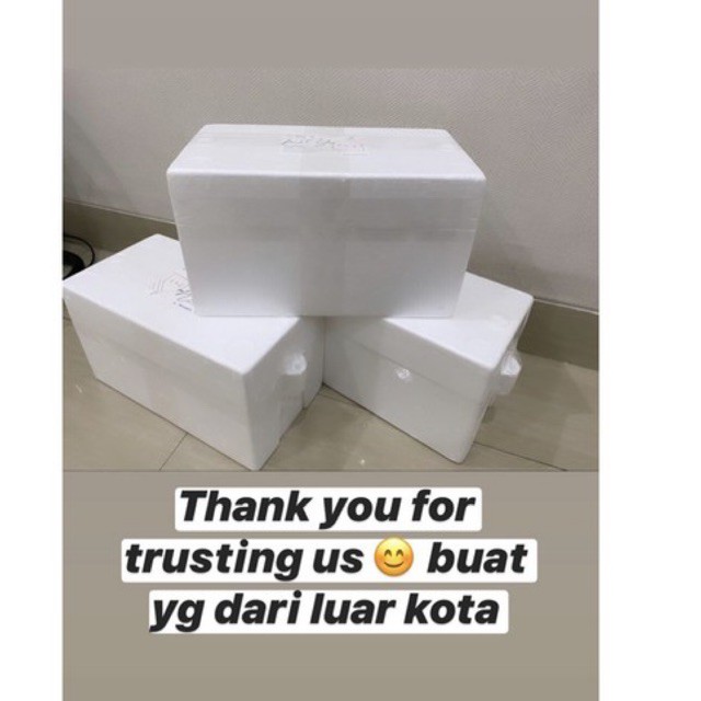 Jual extra packaging icebox | Shopee Indonesia
