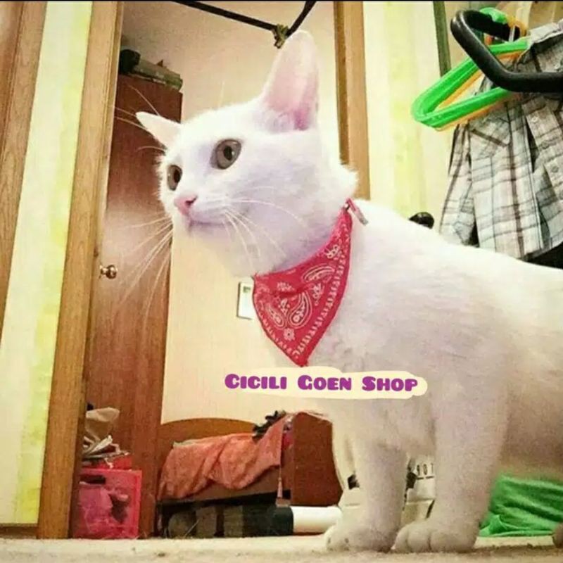 Jual Kalung scarf Anjing Kucing Kelinci Musang Collar Tali Cowboy ...