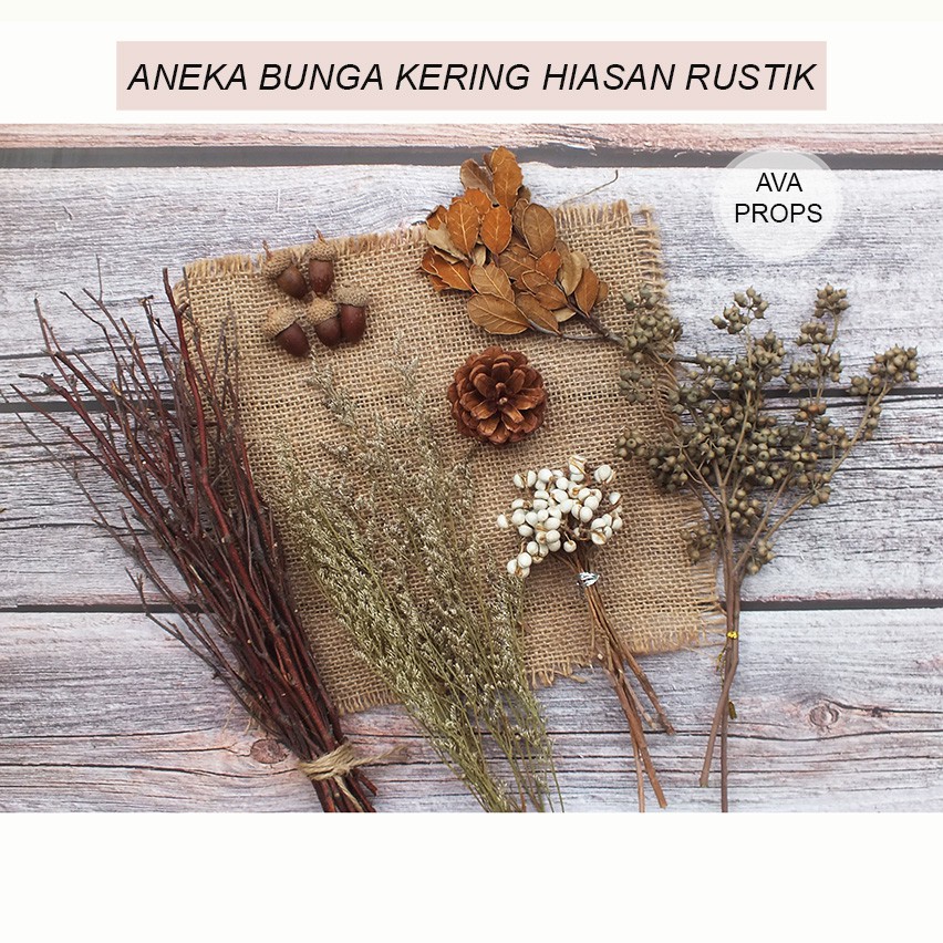 Jual Aneka Bunga Kering Tanaman Dried Flower Dekorasi Vintage Hiasan ...