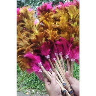 Jual Bulu Ayam Terlengkap & Harga Terbaru Juni 2024 | Shopee Indonesia