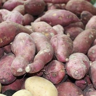 Jual ubi jalar merah pasar online makassar | Shopee Indonesia