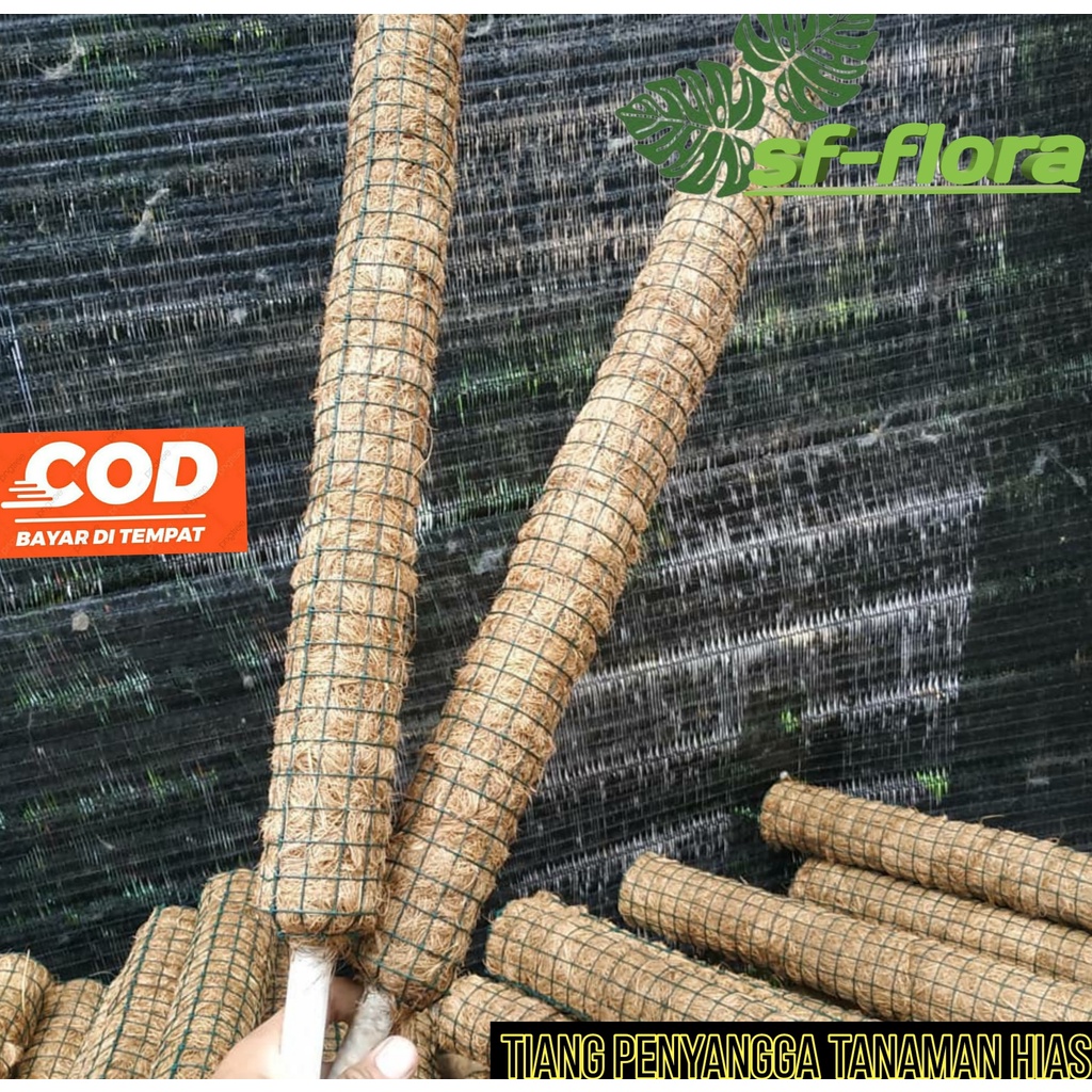 Jual Turus tanaman hias tiang penyangga tanaman hias | Shopee Indonesia