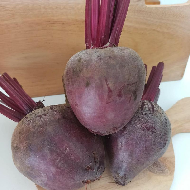 Jual Buah bit/beet root KUALITAS SUPER 1 KG | Shopee Indonesia