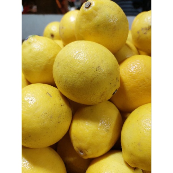 Jual Lemon Lokal California 1kg | Shopee Indonesia