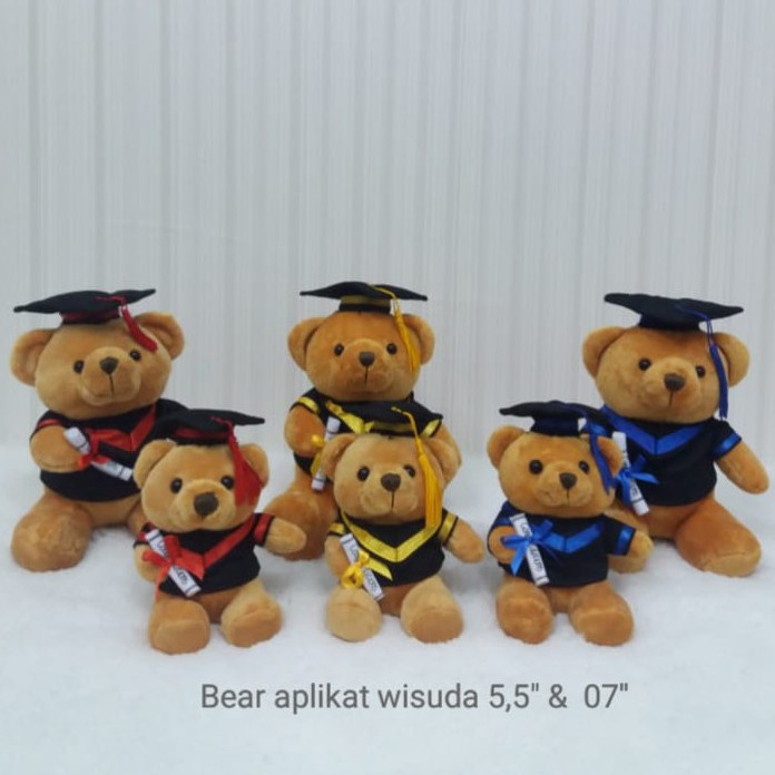 Jual Boneka Bear Wisuda size 22cm/7"/boneka toga/boneka graduation ...