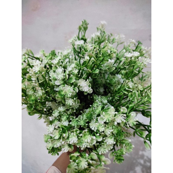 Jual Bunga Gypsophulia/Baby Breath/Bunga Pikok/filler/Daun Ruskus/Daun ...