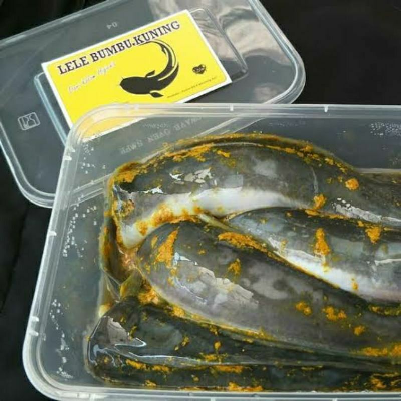 Jual Ikan Lele Bumbu Kuning FRESH 500gr-1000Gr | Shopee Indonesia
