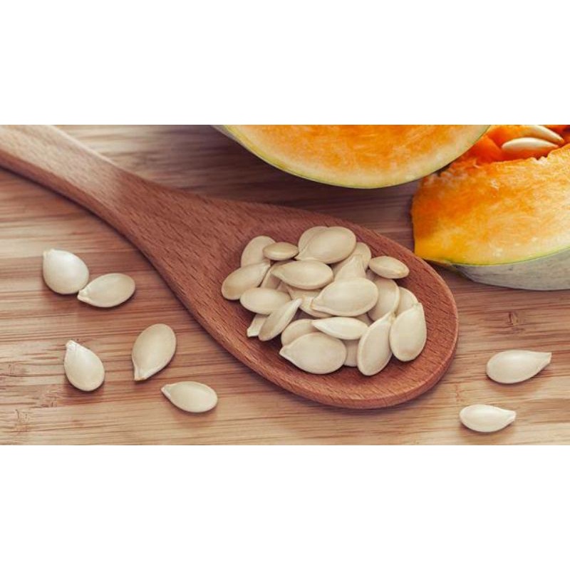 Jual 25 biji benih labu kuning /waluh/waloh/tanaman sayuran/ waloh ...