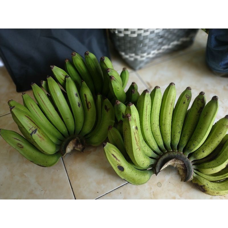 Jual PISANG AMBON/BUAH SEGAR/PISANG LUMAJANG | Shopee Indonesia