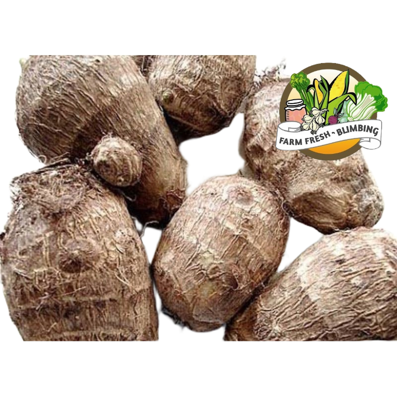 Jual Ubi Talas / Mbote 1 kg | Shopee Indonesia