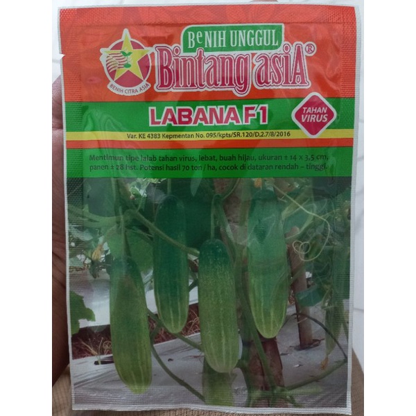 Jual Benih timun LABANA F1 20Gr Bintang Asia | Shopee Indonesia
