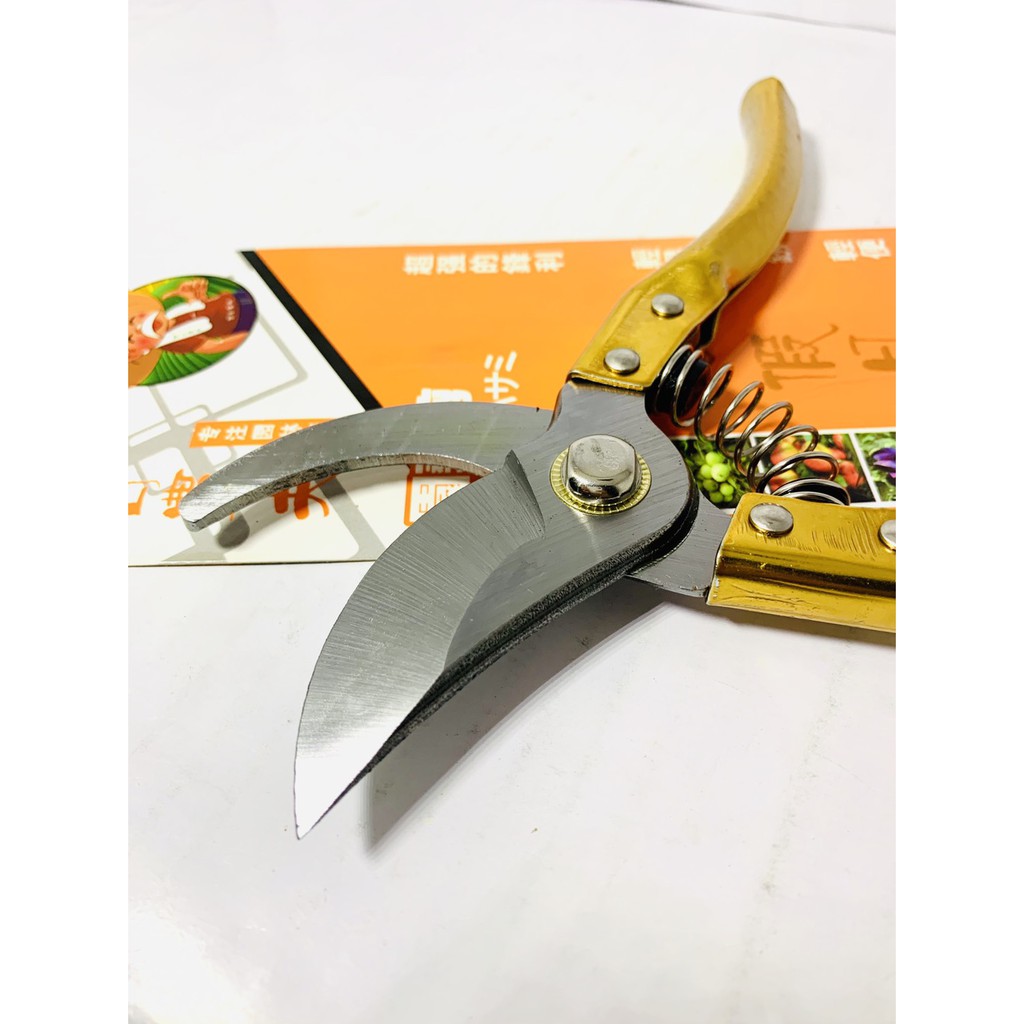 Jual Gunting Stek Gunting Seng Gunting Taman Stainless Gunting Batang ...