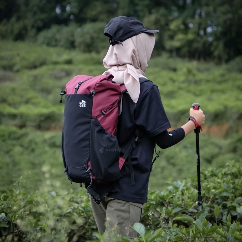 Jual BACKPACK ULTRALIGHT WATERPROOF TAS GUNUNG NORGEE 25 LITER TYPE ...