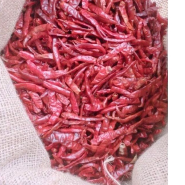 Jual Cabe Rawit Kering Teja / Japlak Premium - Kemasan 1KG-5KG Asal ...