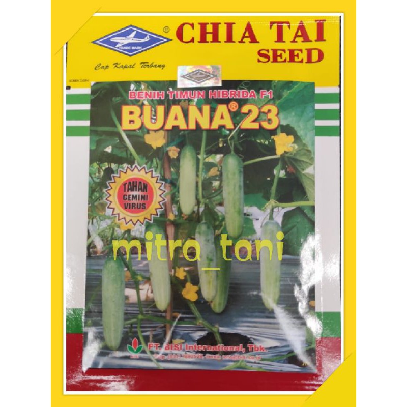 Jual benih timun baby ketimun lalap hibrida f1 BUANA 23 20gram dari CAP ...