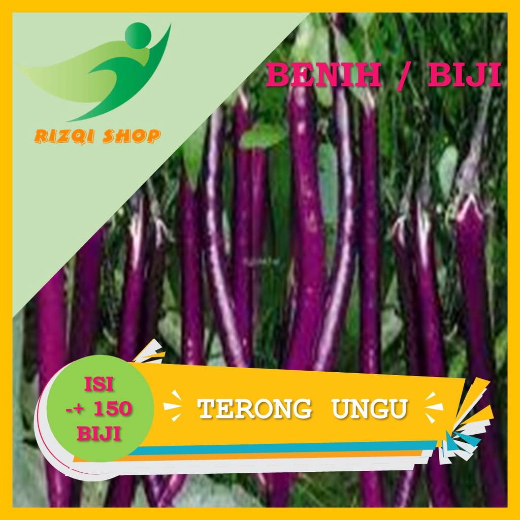 Jual Benih bibit terong ungu unggul biji sayuran | Shopee Indonesia