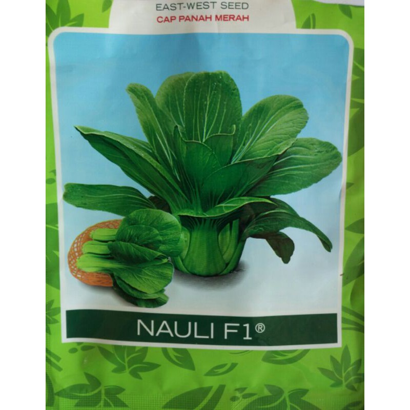 Jual Benih Pakcoy Nauli Panah Merah 200 Biji | Shopee Indonesia