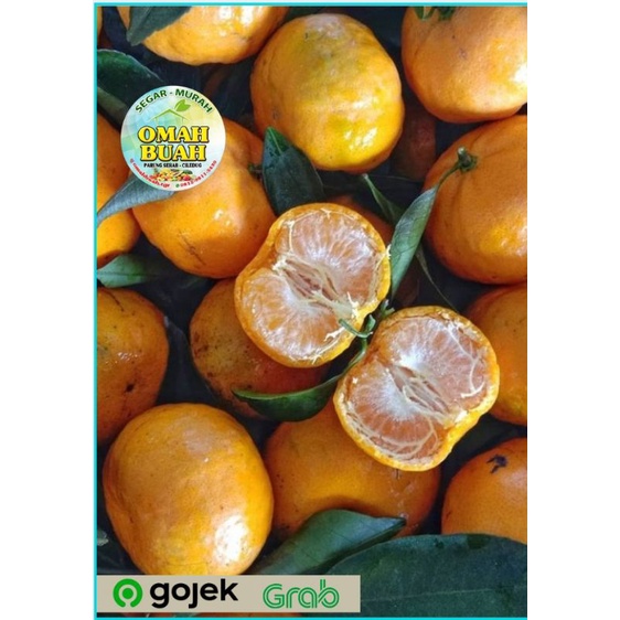 Jual Jeruk Santang Shantang Import Segar | Shopee Indonesia