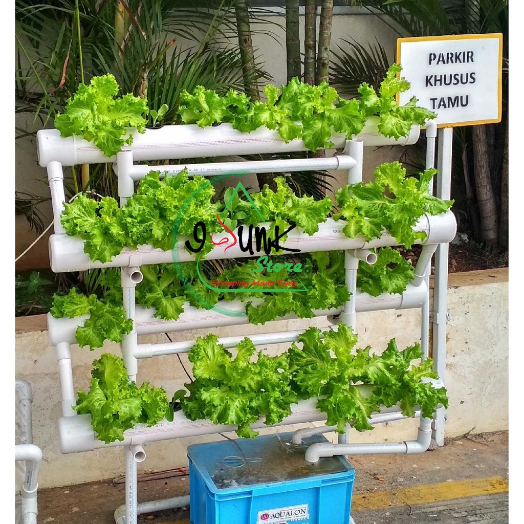 Jual HIDROPONIK SET (STANDING 24 LUBANG) | Shopee Indonesia