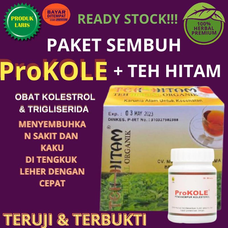 Jual Obat Kolesterol Trigliserida Kekentalan Darah Penurun Kolesterol ...