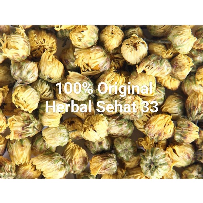 Jual teh bunga Krisan baby crysanthemum flower tea 1kg | Shopee Indonesia