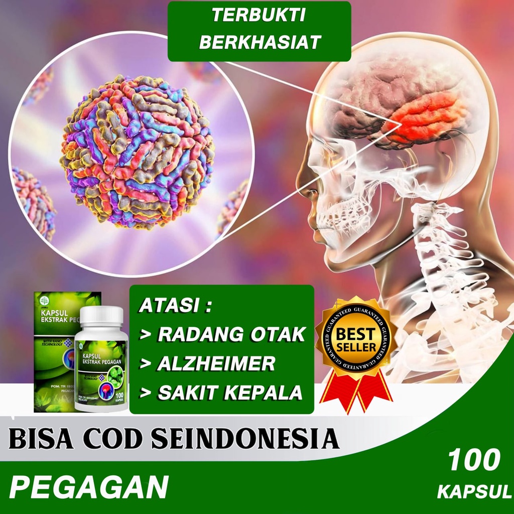 Jual Kapsul Ektrak Pegagan Solusi Obat Alzheimer Radang Otak Dan ...