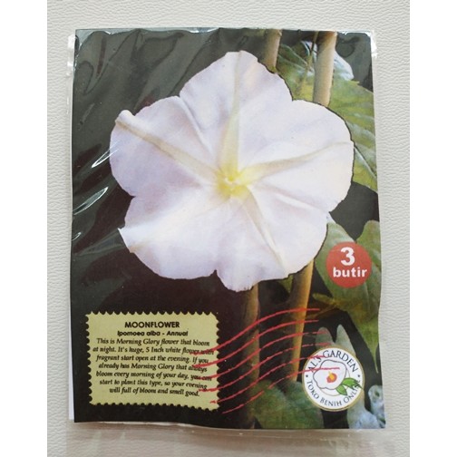 Jual Benih Biji Bunga Ipomoea Alba Moonflower Moon Flower Pack - Als ...