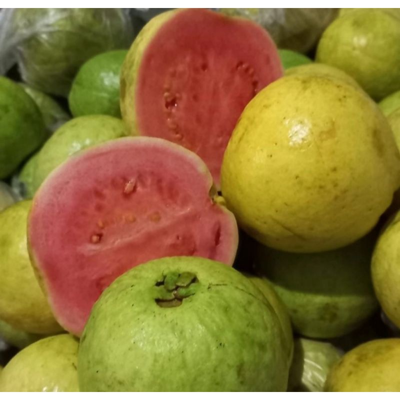 Jual BUAH JAMBU BIJI MERAH 1 KG | Shopee Indonesia