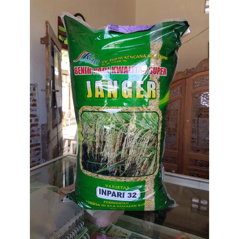 Jual Benih Padi Unggul Inpari 32 Janger | 5kg | Shopee Indonesia