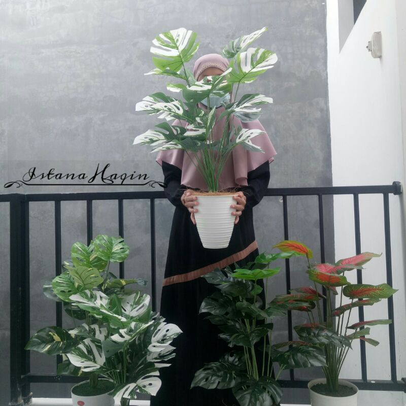 Jual Monstera Artificial Monstera Hijau Monstera Varigata plus Pot ...