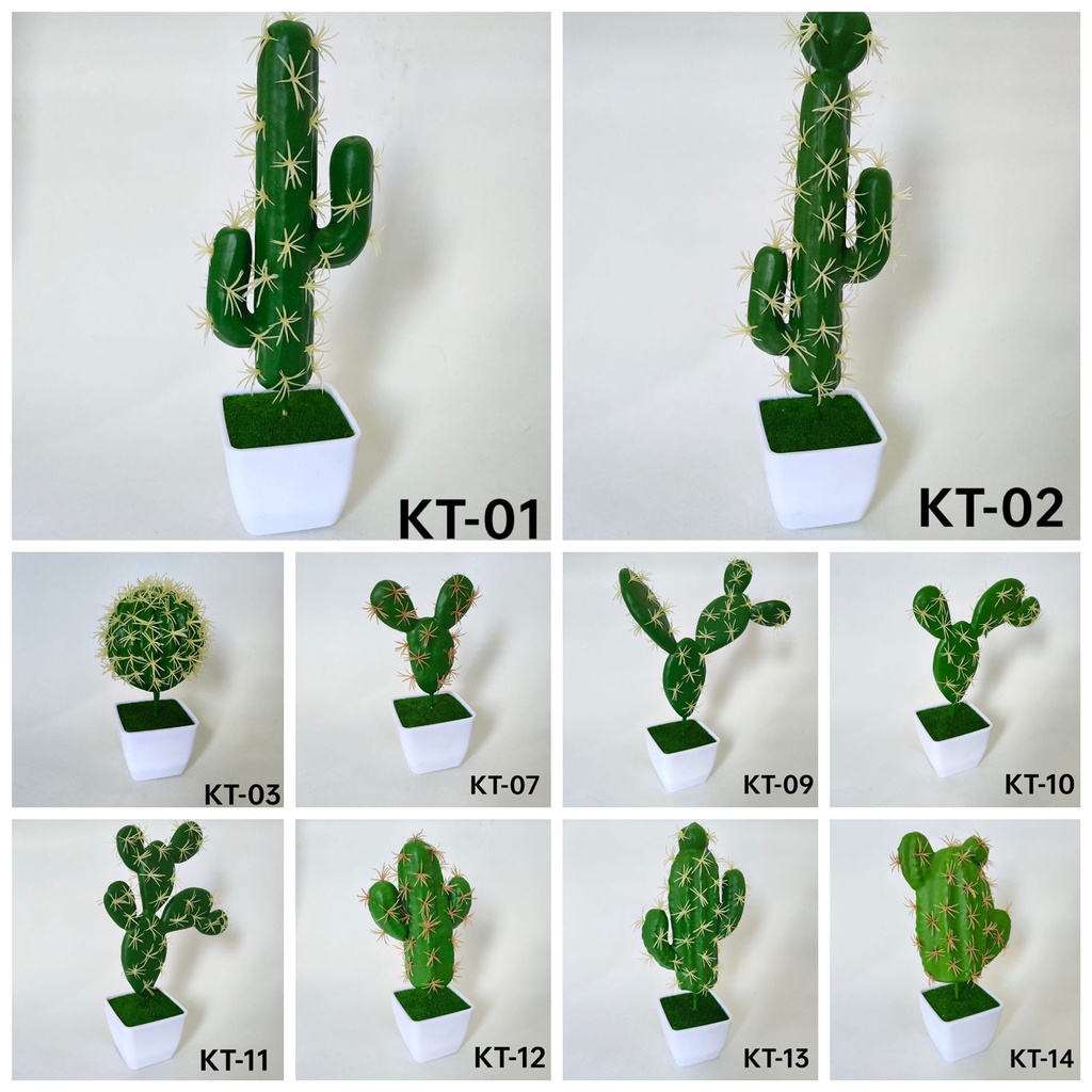 Jual COD KAKTUS MINI KAKTUS PAJANGAN BUNGA KAKTUS TANAMAN SUKULEN ...