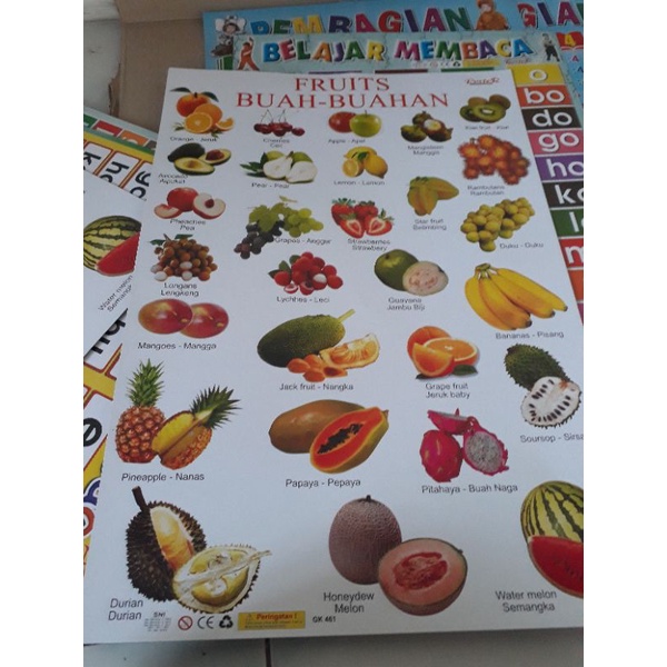 Jual poster belajar mengenal buah buahan | Shopee Indonesia