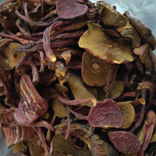 Jual Jamur pelawan kering 1 kg | Shopee Indonesia