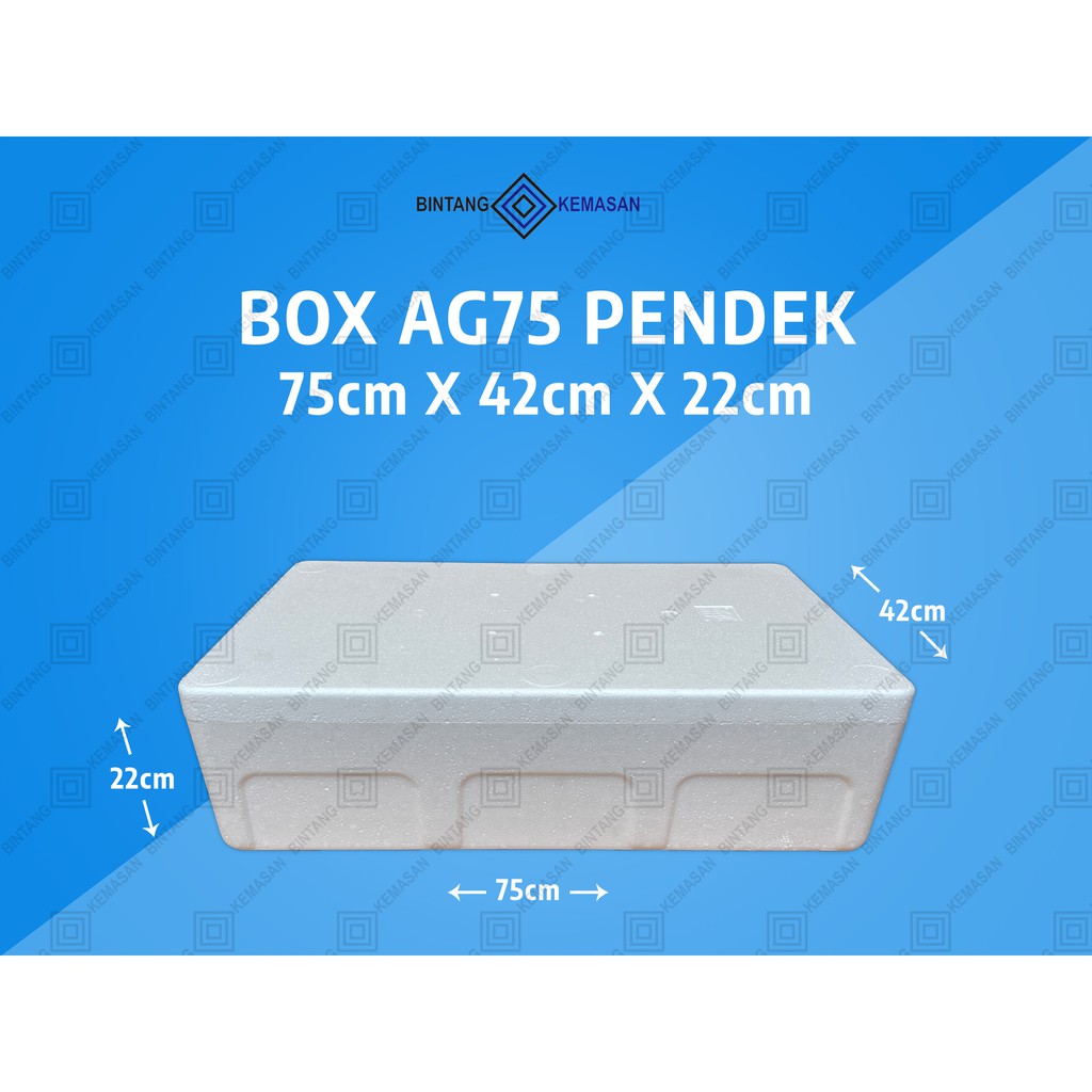 Jual Box Styrofoam AG75 PENDEK 75 x 42 x 22cm Box Ikan/Box Foam/Box ...