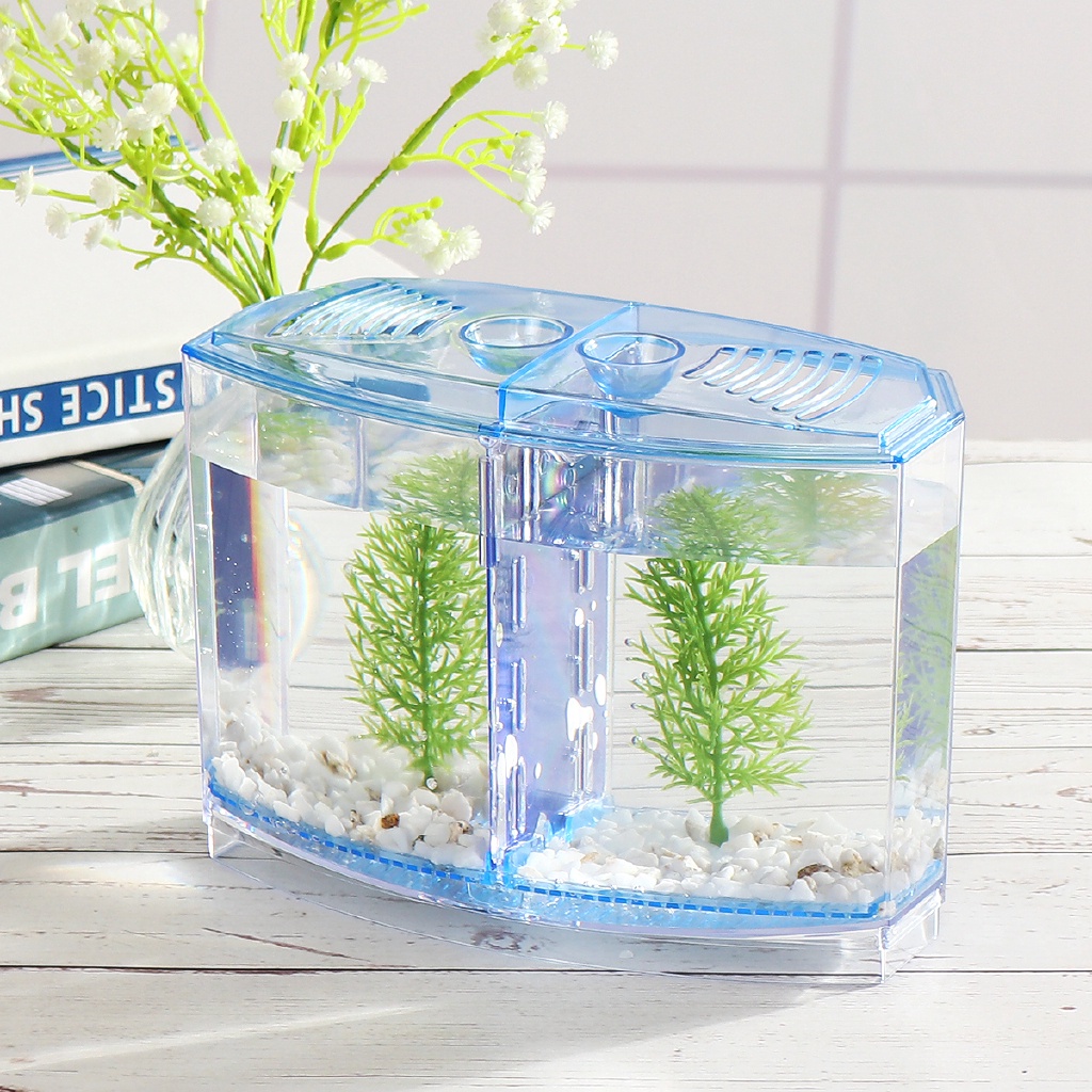 Jual Aquarium Ikan Cupang Guppy Tangki Akuarium Mini Fish Tank Sekat ...