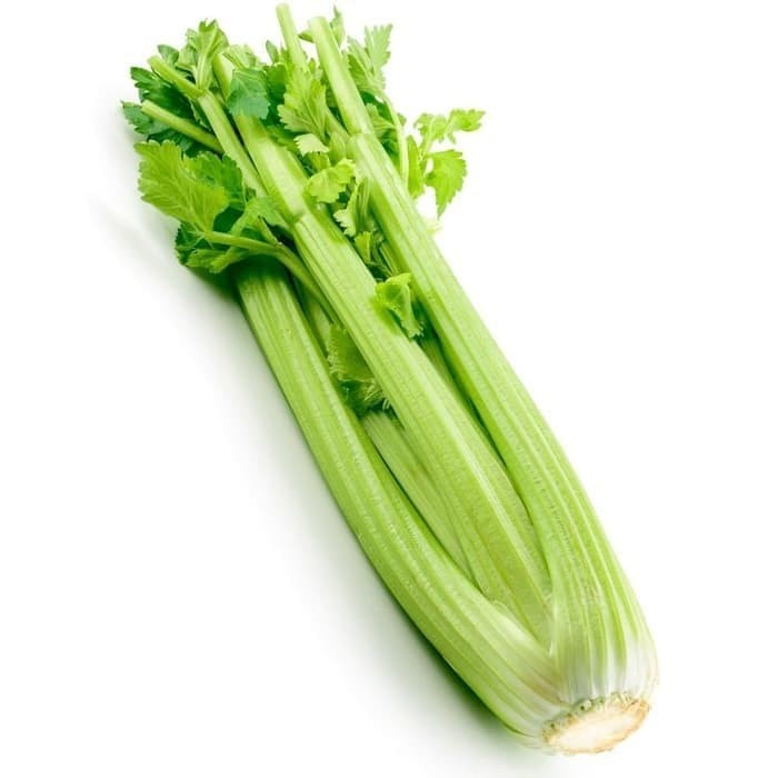 Jual Batang Seledri Stik Celery Stick IMPOR 1 kg | Shopee Indonesia