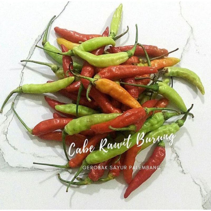 Jual Cabe Rawit Burung 100 gr | Shopee Indonesia