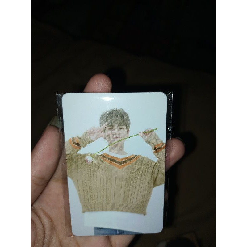 Jual OFFICIAL AR YOSHI AR(BOOKED) | Shopee Indonesia